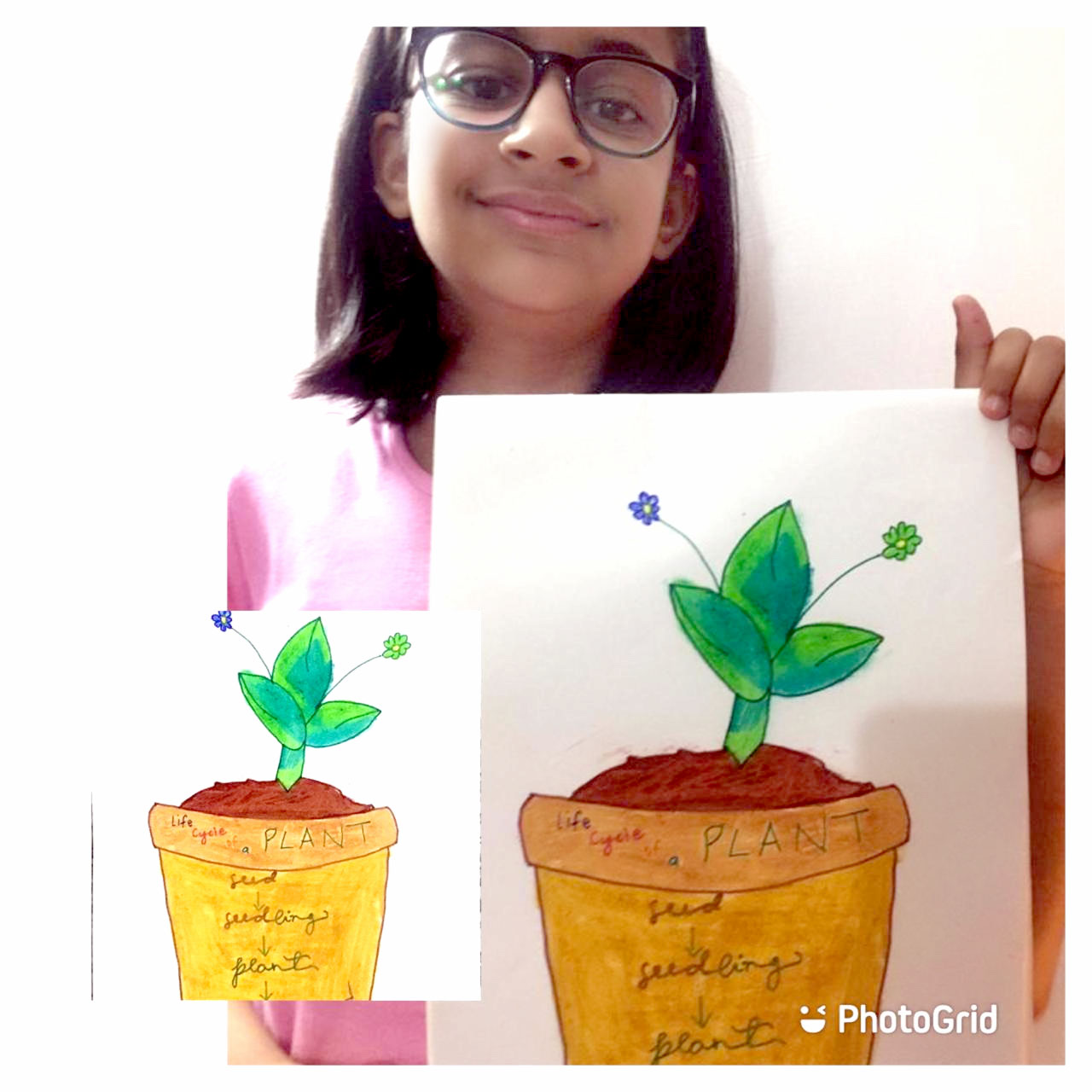 PRESIDIANS LEARN ABOUT THE VARIOUS CHARACTERISTICS OF PLANTS 