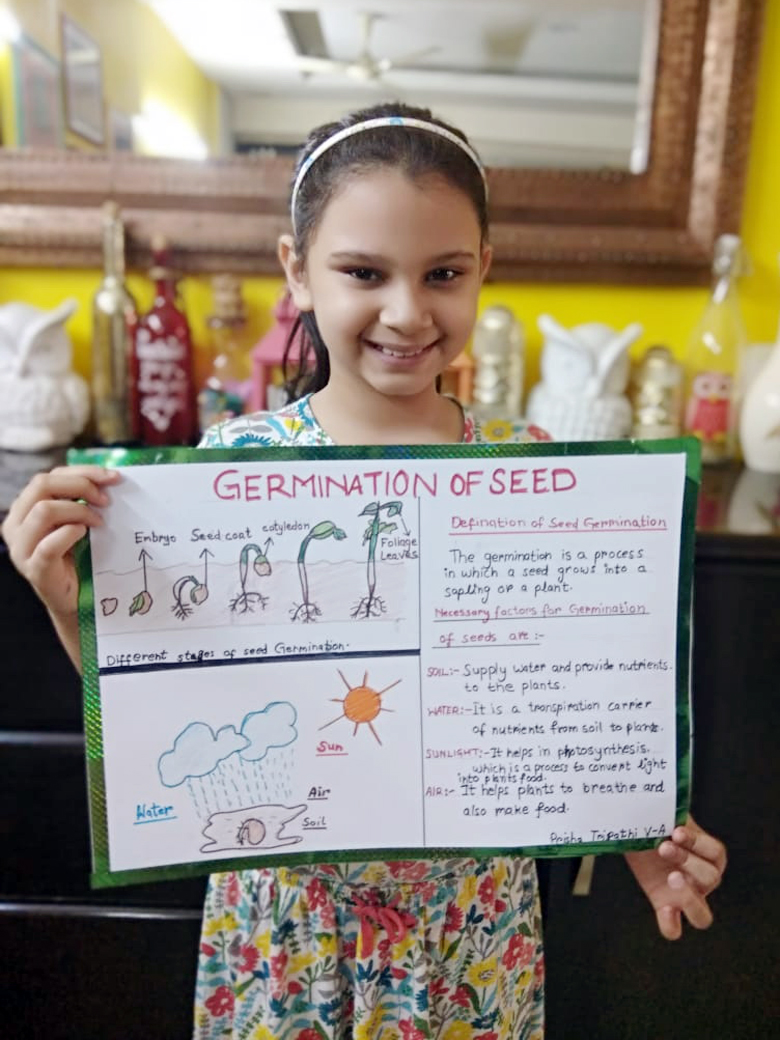 STUDENTS UNDERSTAND THE PROCESS OF GERMINATION WITH FUN ACTIVITY