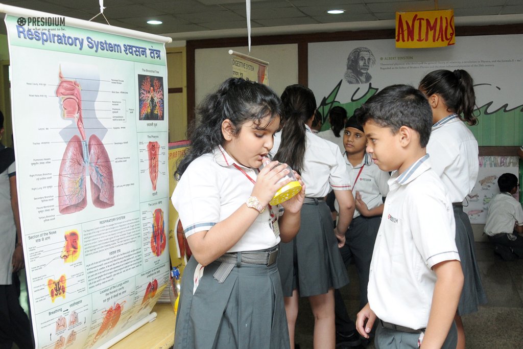 Back to News & Updates